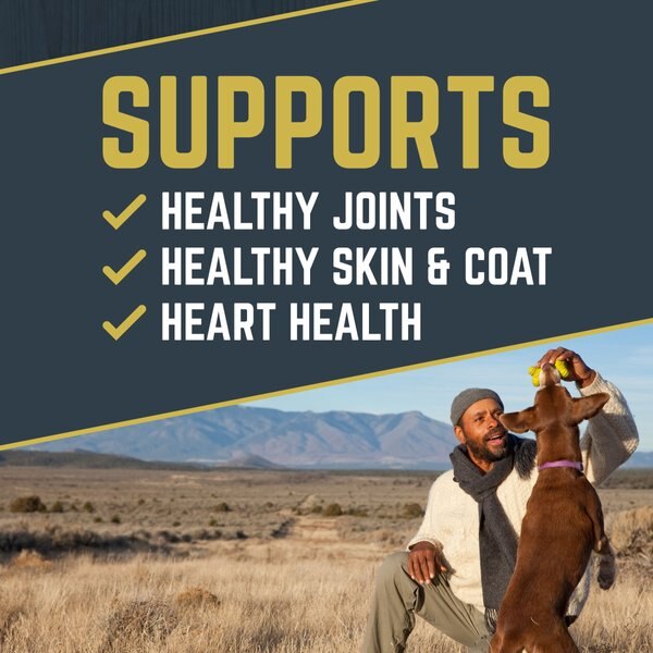 BLACK GOLD Explorer Large Breed Puppy Recipe Dry Dog Food, 40-lb bag ...