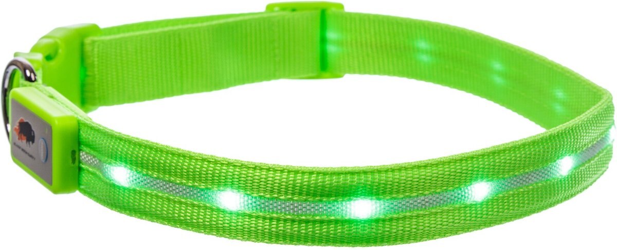 BLAZIN LED USB Rechargeable Nylon Dog Collar, Green, Medium: 13.8 to 19 ...