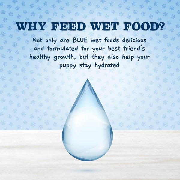 BLUE BUFFALO Baby Blue Healthy Growth Formula Natural Chicken ...