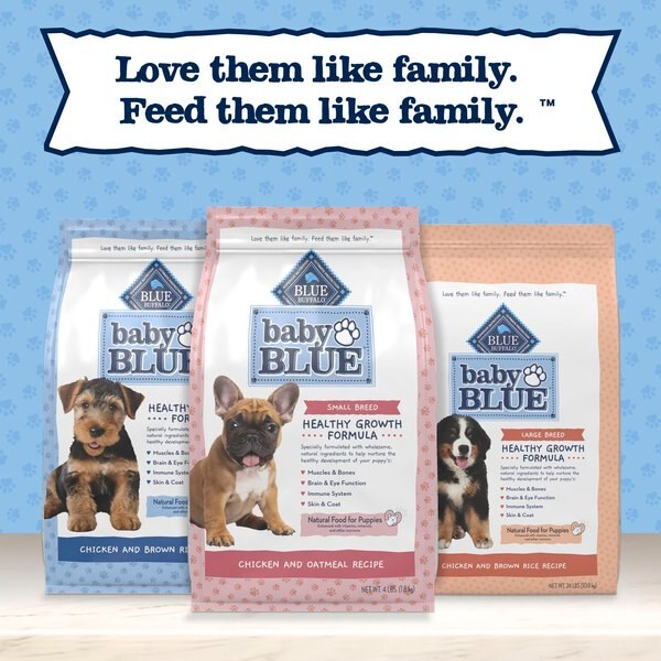 BLUE BUFFALO Baby BLUE Small Breed Puppy Chicken & Oatmeal Recipe Dry ...