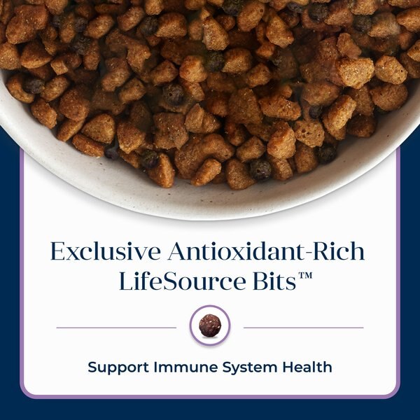 BLUE BUFFALO Basics Skin & Stomach Care Adult Small Breed Turkey ...