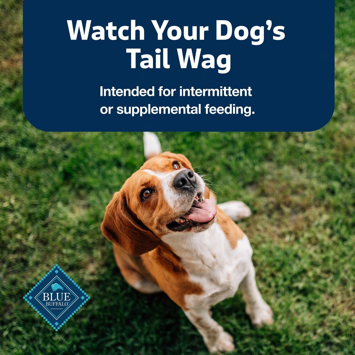 BLUE BUFFALO Blue Stix Lamb Recipe Pepperoni-Style Dog Treats, 5-oz bag ...