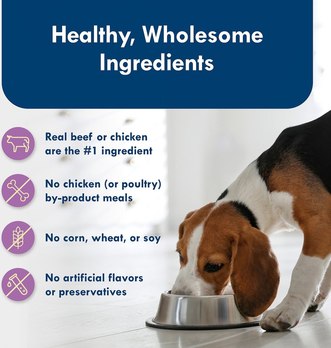 BLUE BUFFALO Divine Delights Pate Variety Pack Top Sirloin & Grilled ...