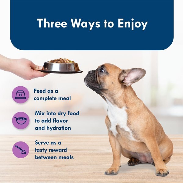 BLUE BUFFALO Divine Delights Top Sirloin Flavor Pate Dog Food Trays, 3. ...