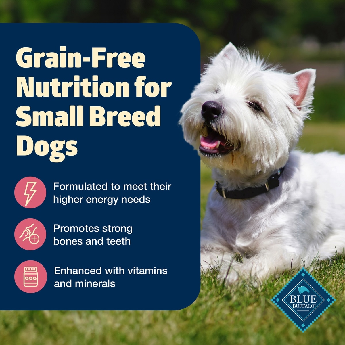 BLUE BUFFALO Freedom Small Breed Grain-Free Chicken & Potatoes Dry Dog ...