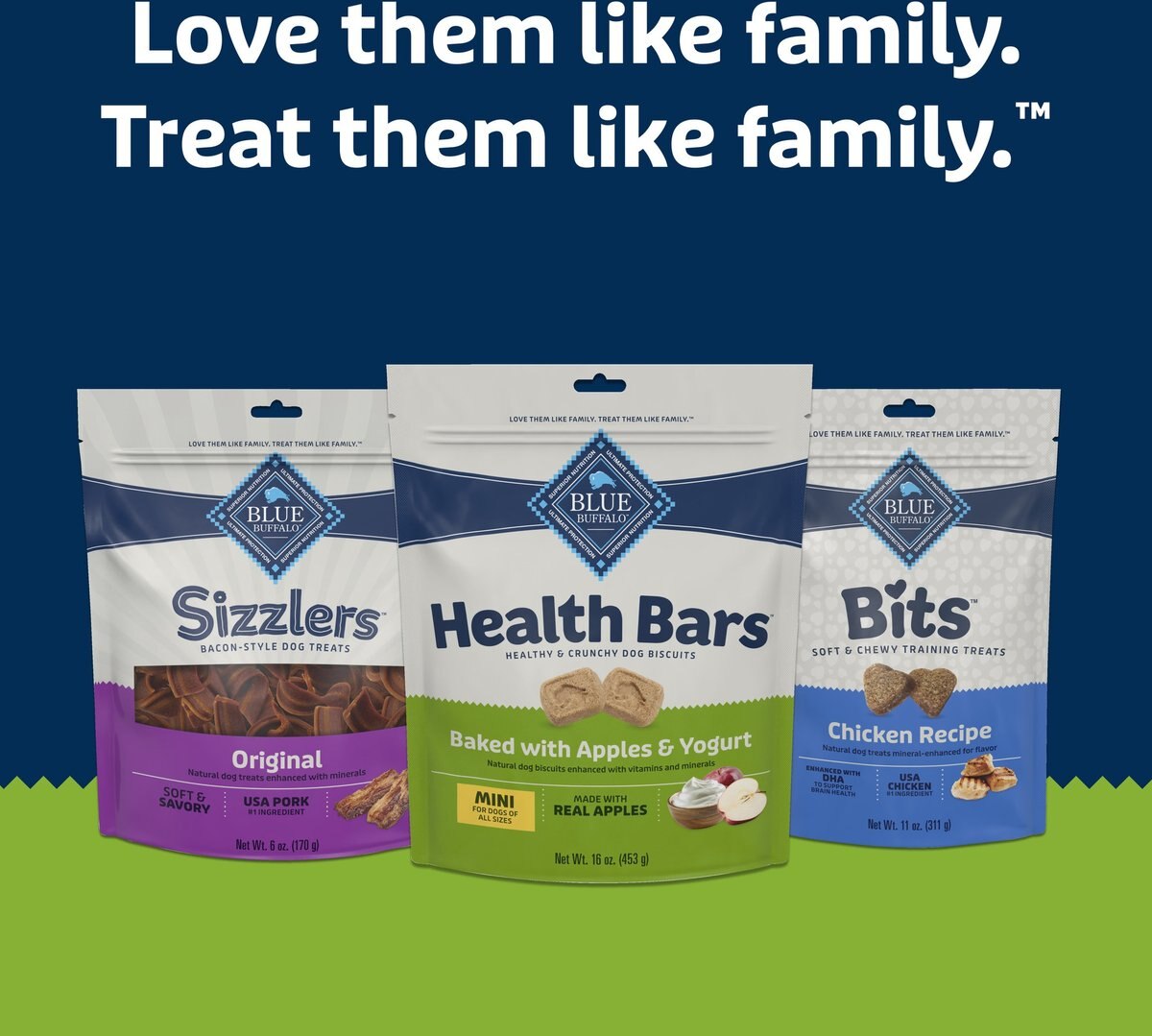 BLUE BUFFALO Health Bars Baked with Apples & Yogurt Dog Treats, 32-oz ...