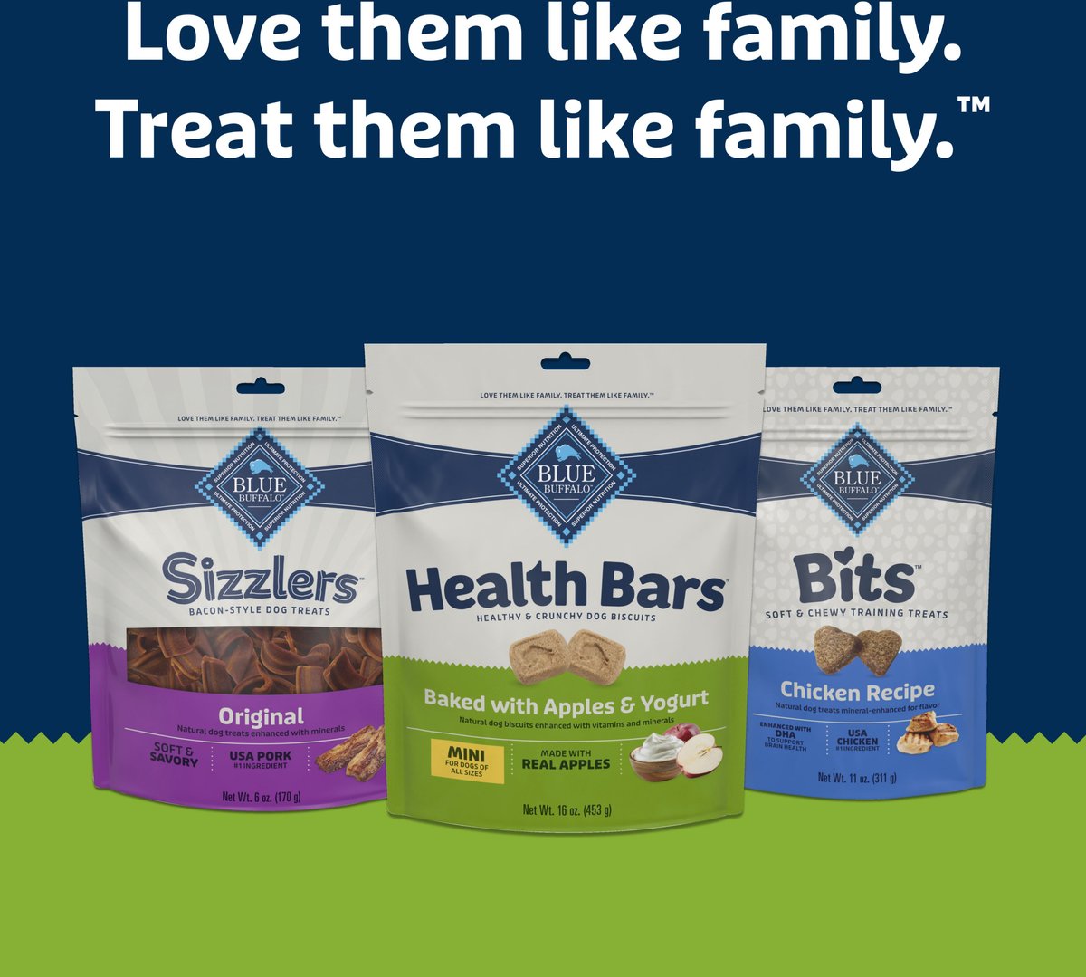 BLUE BUFFALO Health Bars Apple & Yogurt Mini Dog Treats, 16-oz bag ...