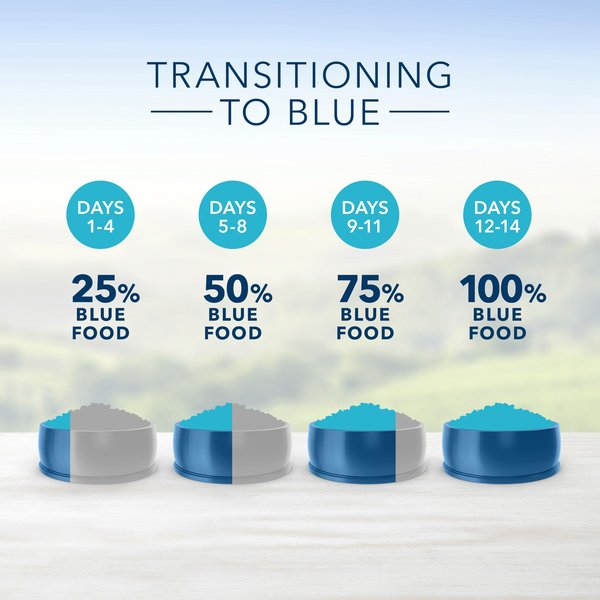 BLUE BUFFALO Life Protection Formula Adult Beef & Brown Rice Recipe Dry ...