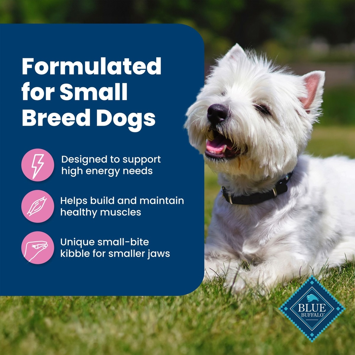 Blue Buffalo Life Protection Formula Small Breed Adult Chicken & Brown ...
