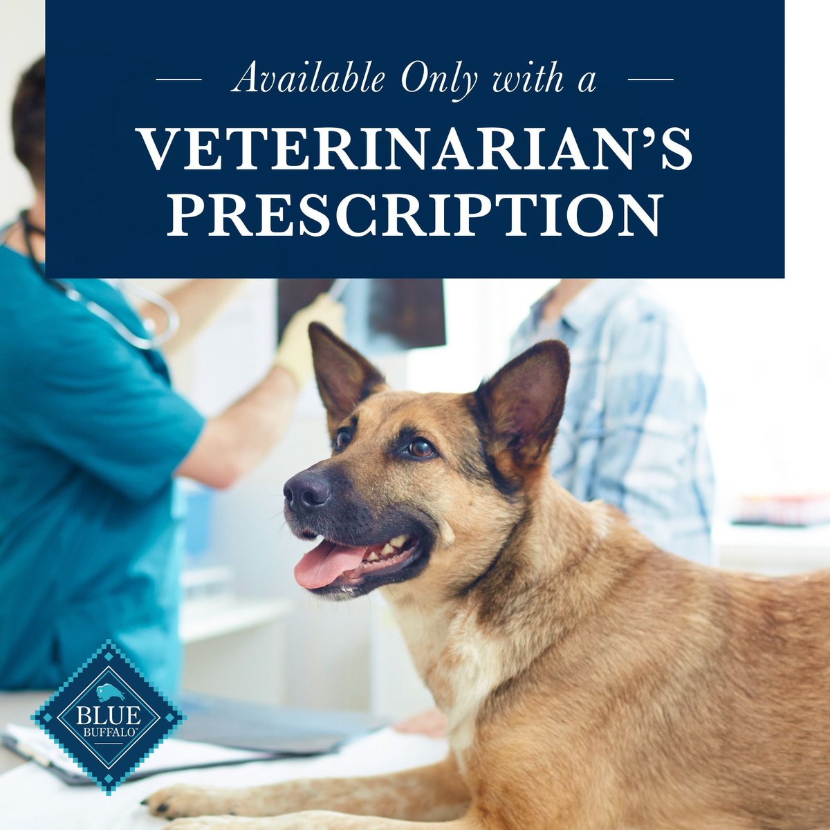 BLUE BUFFALO NATURAL VETERINARY DIET NP Novel Protein Alligator Dry Dog ...