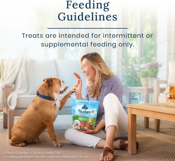 BLUE BUFFALO Nudges Homestyle Beef & Rice Natural Dog Treats, 16-oz bag ...