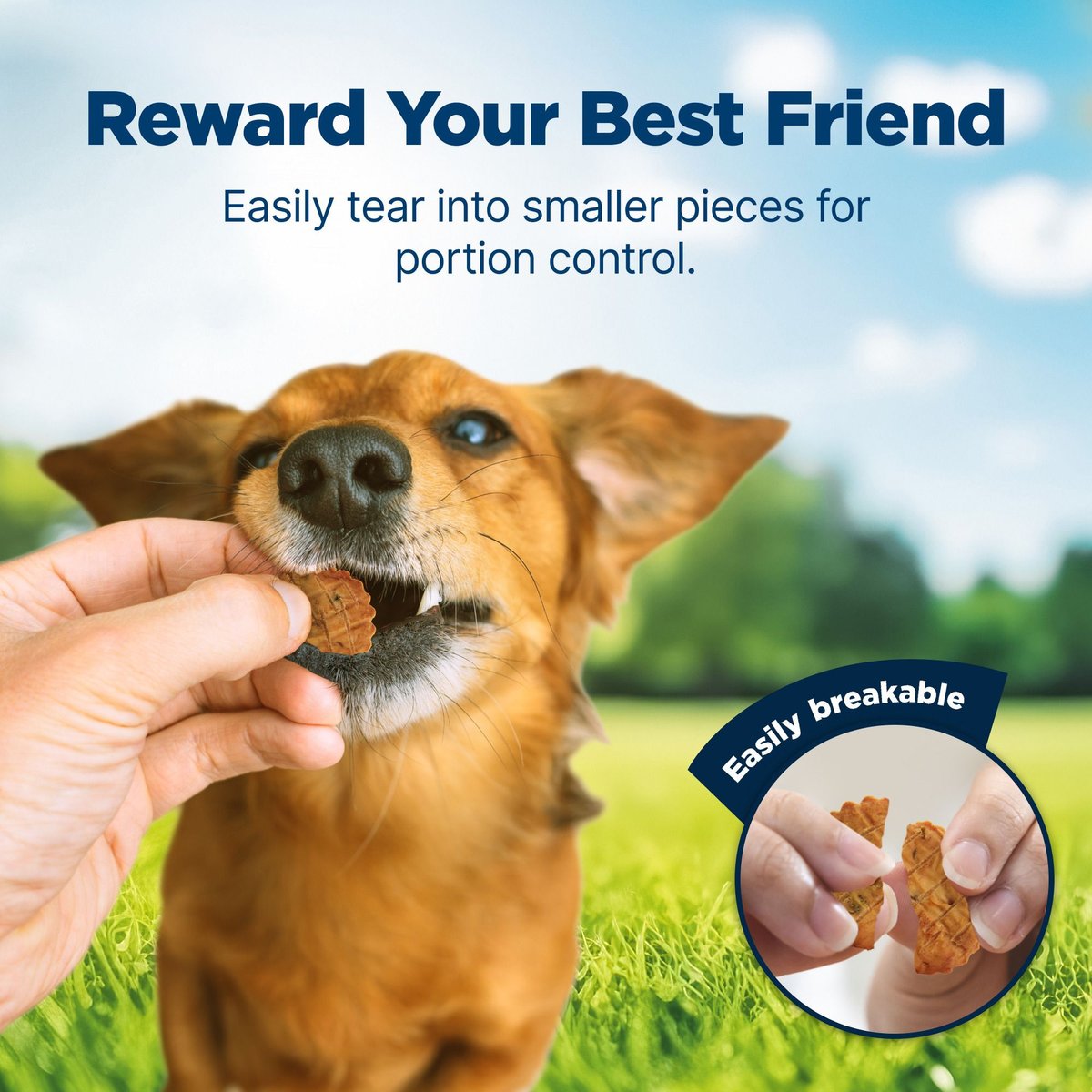 BLUE BUFFALO Nudges Homestyle Real Chicken Dog Treats, 16-oz bag ...