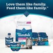 BLUE BUFFALO Tastefuls Chicken & Brown Rice Recipe Hairball Control ...