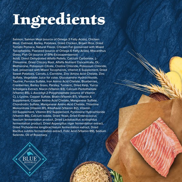 BLUE BUFFALO Wilderness Large Breed Adult High Protein Natural Salmon ...