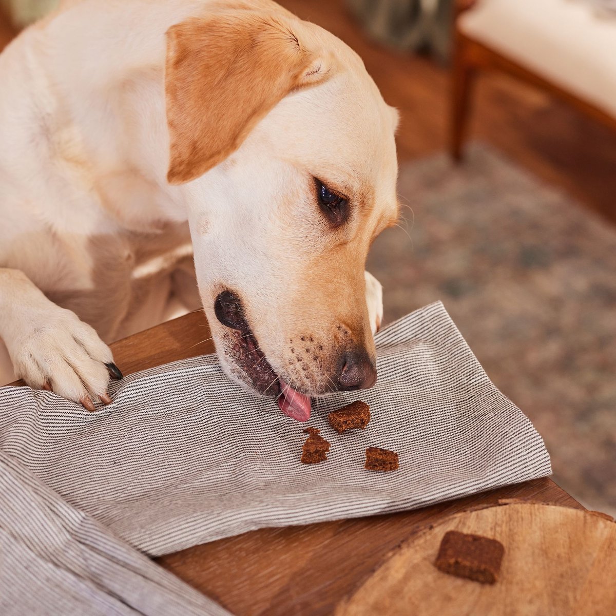 BLUE DOG BAKERY Softies Peanut Butter Dog Treats, 16.2-oz box - Chewy.com
