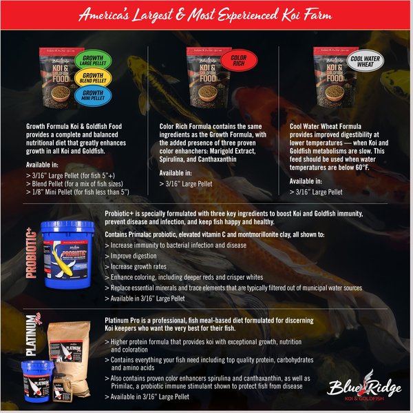 BLUE RIDGE KOI & GOLDFISH Color Rich Formula Koi & Goldfish Food, 2-lb ...