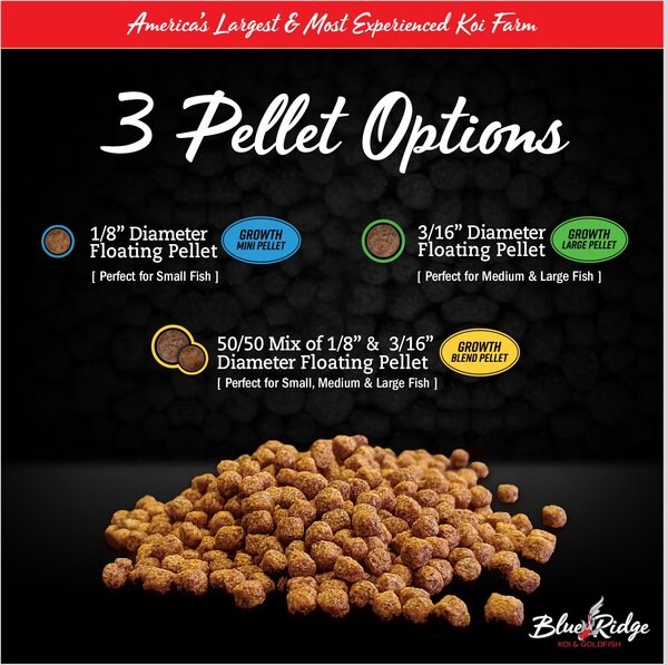 BLUE RIDGE KOI & GOLDFISH Color Rich Formula Koi & Goldfish Food, 2-lb ...
