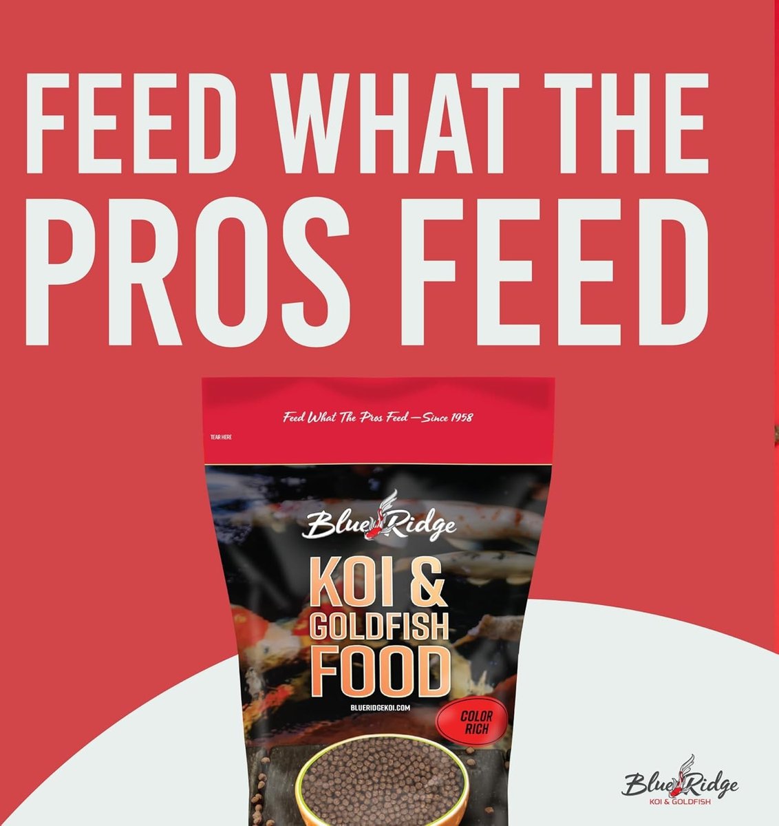 BLUE RIDGE KOI & GOLDFISH Color Rich Formula Koi & Goldfish Food, 2-lb ...