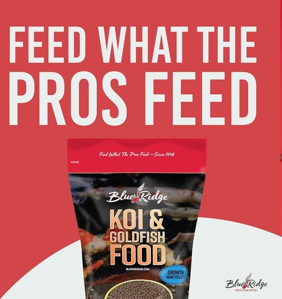 BLUE RIDGE KOI & GOLDFISH Mini Pellet Growth Formula Koi & Goldfish ...