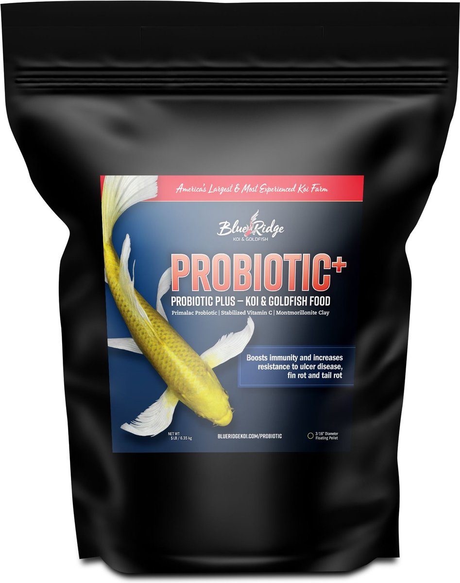 BLUE RIDGE KOI & GOLDFISH Probiotic Plus Formula Koi & Goldfish Food, 5 ...
