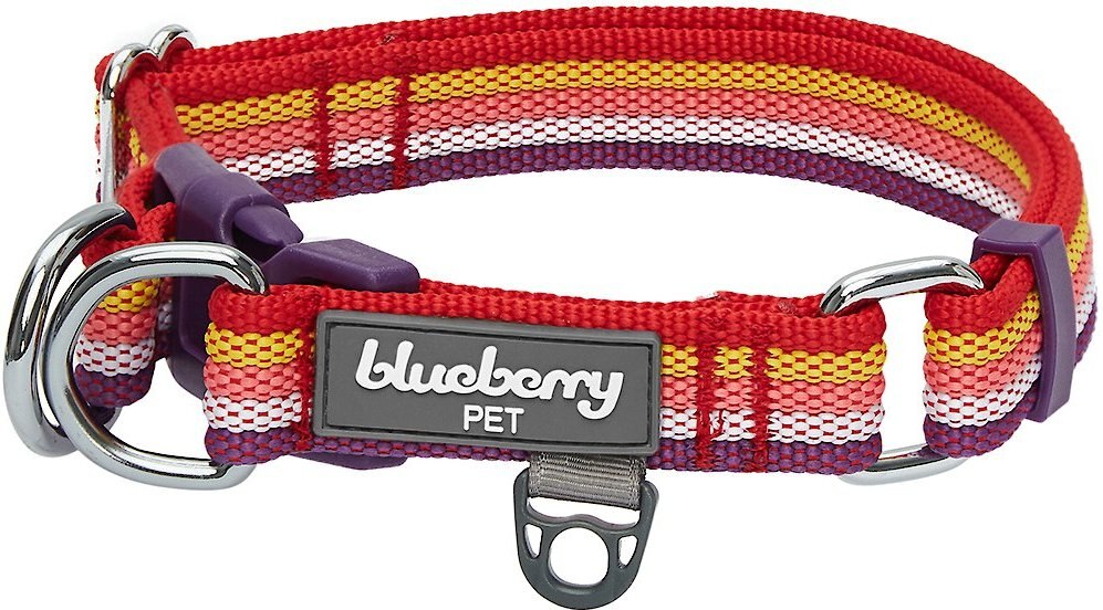 BLUEBERRY PET Multi-Colored Stripe Adjustable Dog Collar, Mixed Tone ...