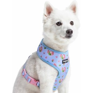 BLUEBERRY PET Soft & Comfy Spring Scent Inspired Floral Dog Harness ...