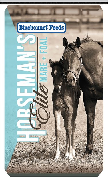 Bluebonnet Feeds - Free shipping | Chewy
