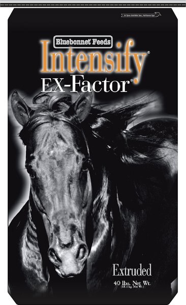 BLUEBONNET FEEDS Intensify Ex-Factor Low Sugar, Low Starch Horse Feed ...