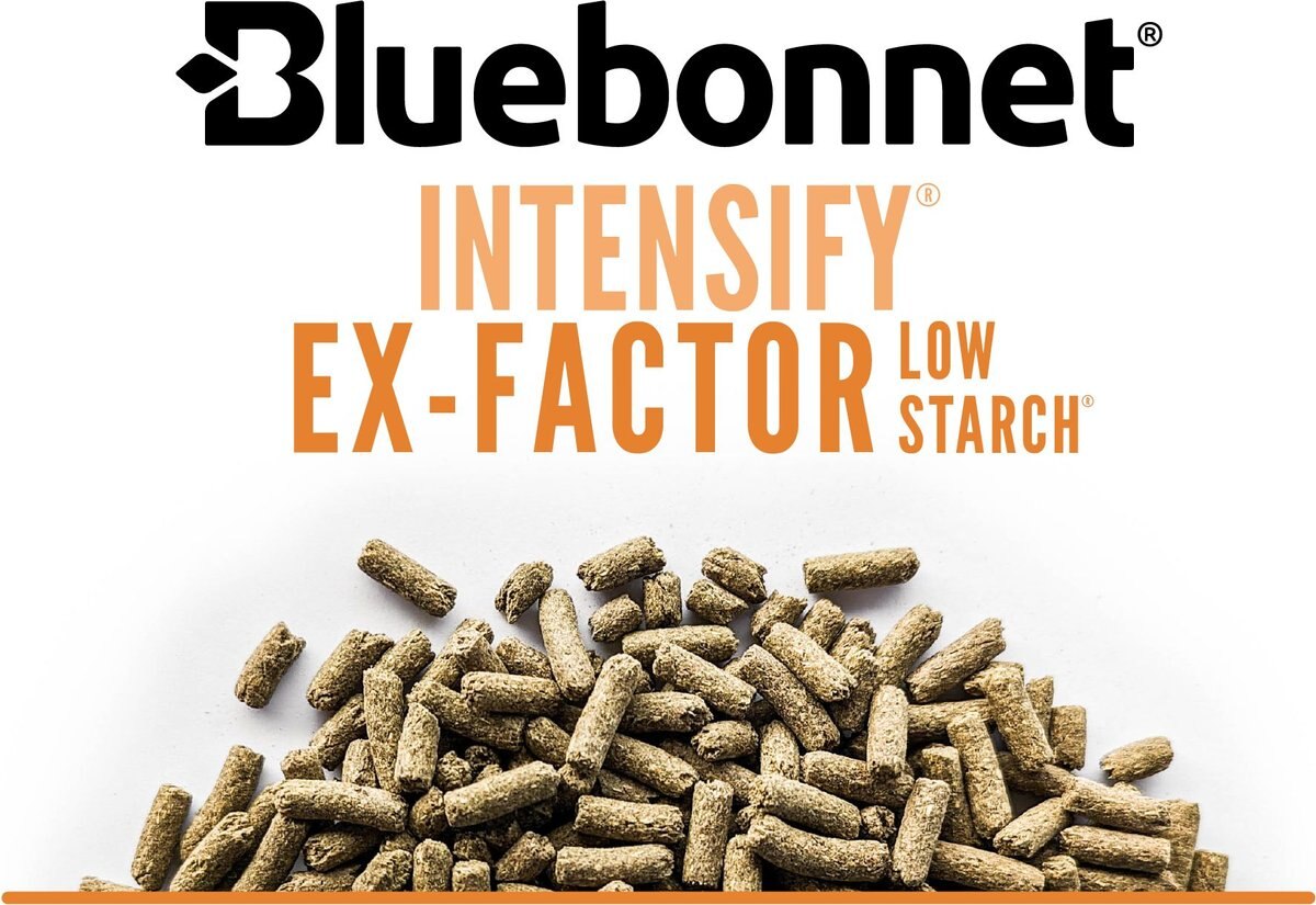 BLUEBONNET FEEDS Intensify Ex-Factor Low Sugar, Low Starch Horse Feed ...