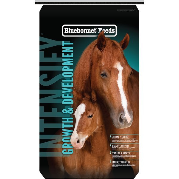 BLUEBONNET FEEDS Pro Balance Pellets Horse Supplement, 12.5-lb tub ...