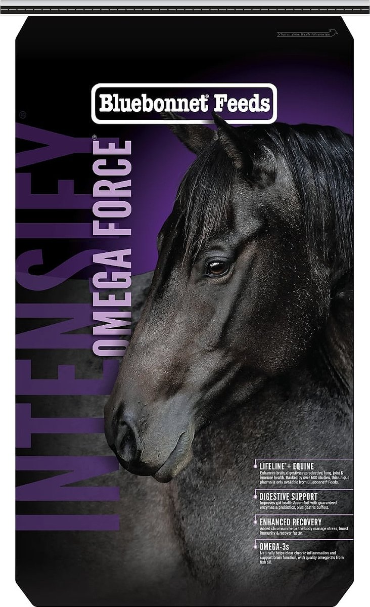 BLUEBONNET FEEDS Intensify Omega Force High Protein, Low Starch Horse ...