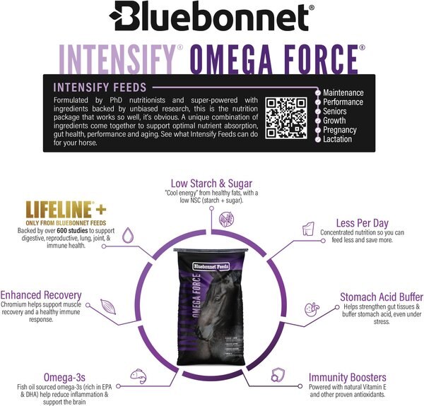 BLUEBONNET FEEDS Intensify Omega Force High Protein, Low Starch Horse ...