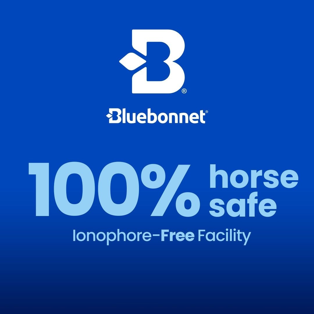 BLUEBONNET FEEDS Intensify Omega Force High Protein, Low Starch Horse ...