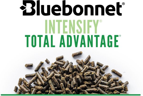 BLUEBONNET FEEDS Intensify Total Advantage Complete Low Starch Horse ...