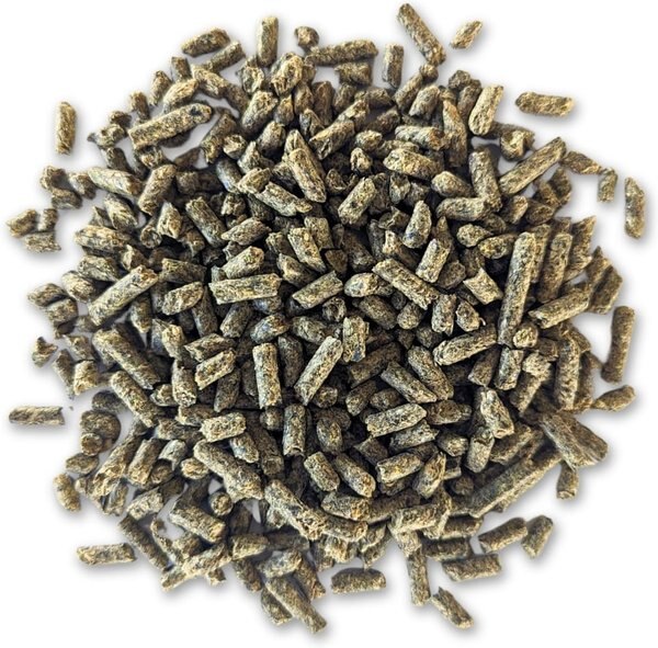 BLUEBONNET FEEDS Limited Ingredient Forage Balancer Horse Feed, 44-lb ...
