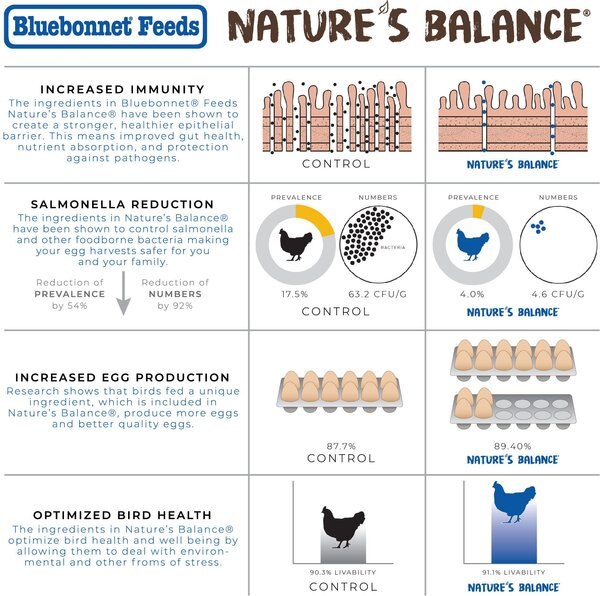 BLUEBONNET FEEDS Nature's Balance Egg Booster 16% Protein Crumble ...