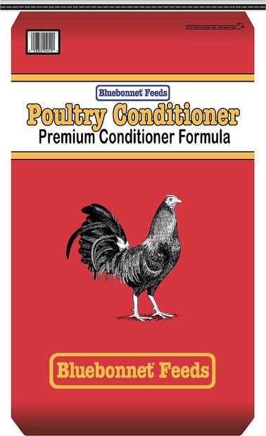 Pigeon Supplies & Accessories | Chewy