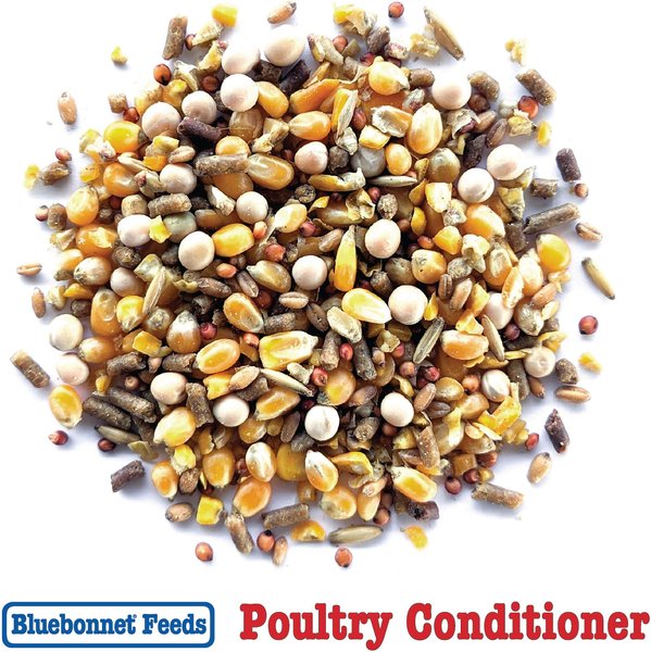 BLUEBONNET FEEDS Poultry Conditioner 16% Protein Premium Formula Grain ...