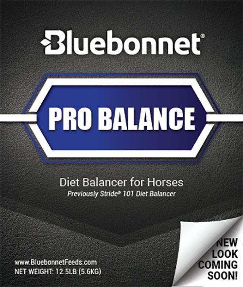 BLUEBONNET FEEDS Pro Balance Pellets Horse Supplement, 12.5-lb tub ...