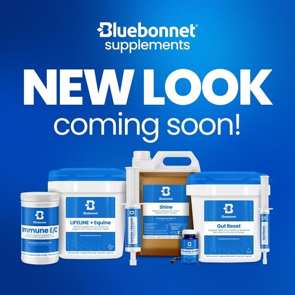 BLUEBONNET FEEDS Pro Balance Pellets Horse Supplement, 12.5-lb tub ...