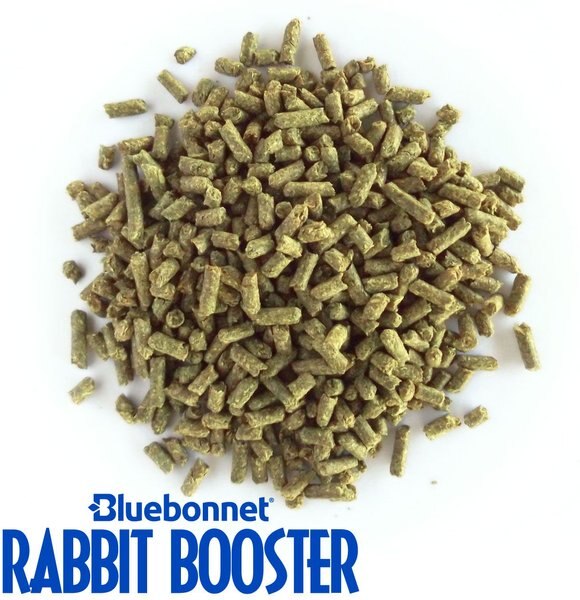 BLUEBONNET FEEDS Rabbit Booster 16% Protein Rabbit Food, 50-lb bag ...