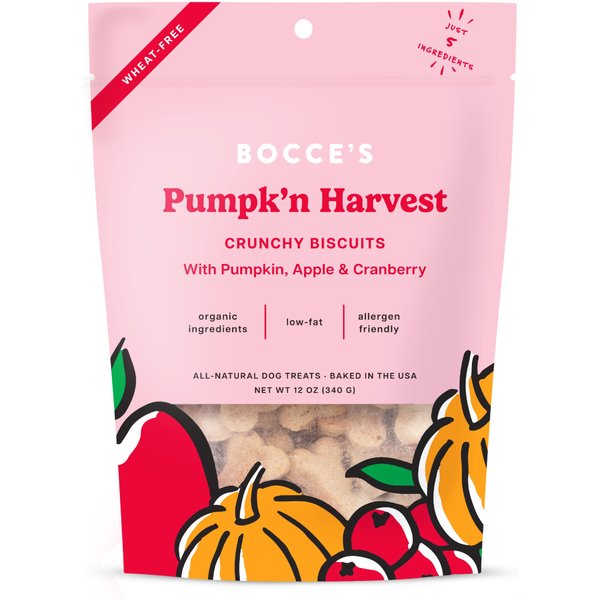 BOCCE'S BAKERY Pumpk'n Harvest Biscuits Crunchy Dog Treats, 12-oz bag ...