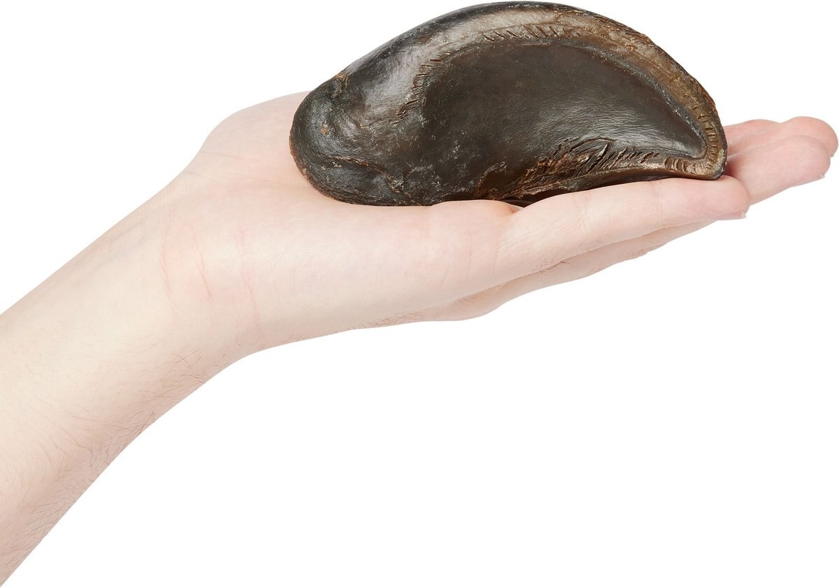 BONES & CHEWS Cow Hooves, 10 count - Chewy.com