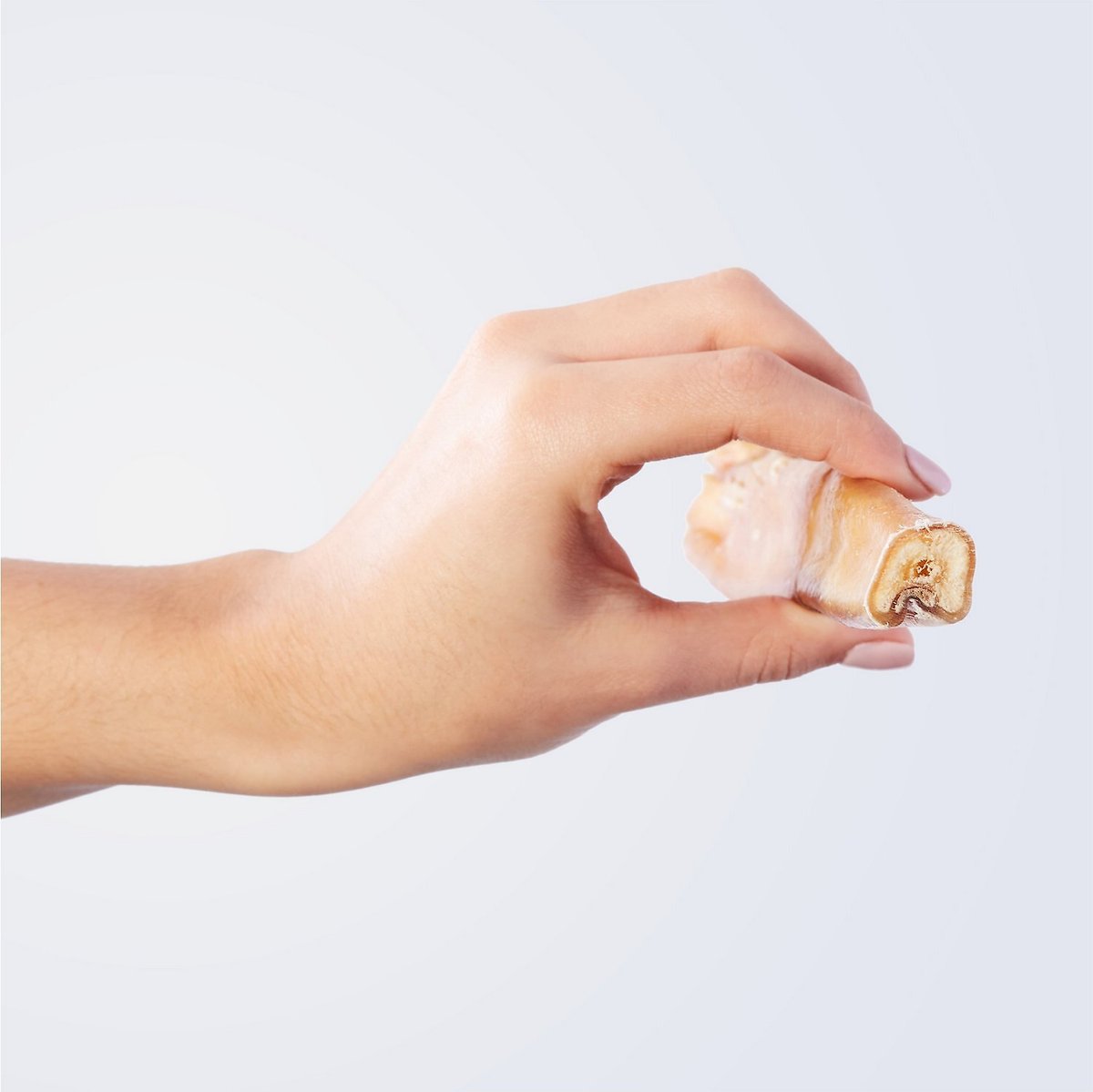 BONES & CHEWS Jumbo Bully Stick 12" Dog Treats, 20 count - Chewy.com