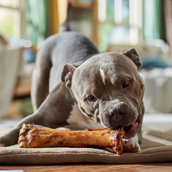 BONES & CHEWS Made in USA Beef Foreshank Bone Dog Treat, 2 count ...