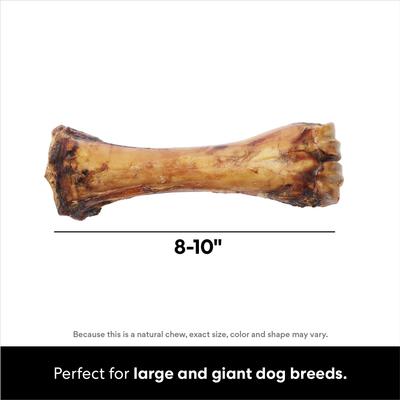 BONES & CHEWS Made in USA Beef Foreshank Bone Dog Treat - Chewy.com