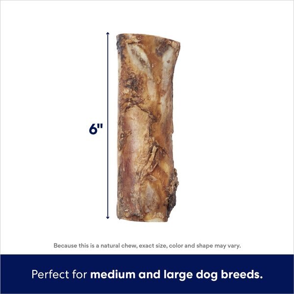New Version Available - BONES & CHEWS Roasted Marrow Bone 6" Dog Treat ...