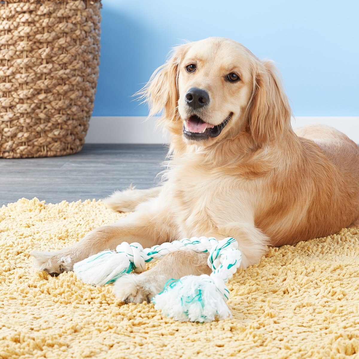 Out of Stock - BOODA Fresh N Floss Spearmint 3-Knot Rope Dog Toy, Large ...