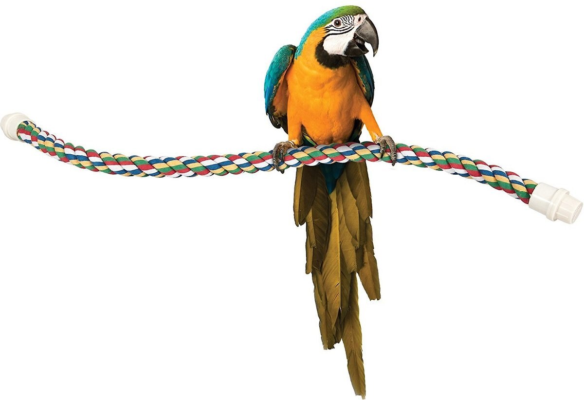 BOODA Large Comfy Bird Perch, 36-in - Chewy.com
