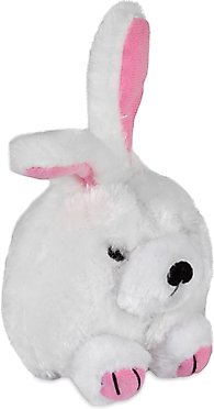 Rabbit Dog Toy (Free Shipping) | Chewy